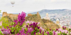 Weather in Tbilisi: Climate by Season & Month | Sisno Group